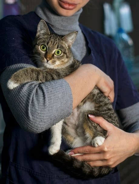 Милая и очень ласковая девочка ищет дом Её самое заветное желание обрести любящую и заботливую