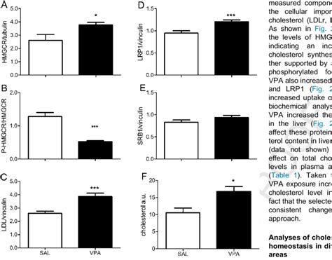 Proteins Involved In Cholesterolisoprenoid Homeostasis In The Liver Of