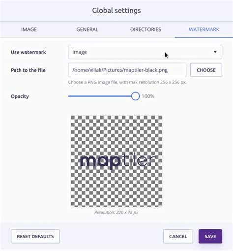 Maptiler Engine 121 Choose Between Image And Text Settings Maptiler