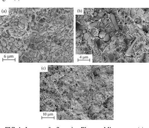 Figure 1 From 3d Printing Of Polymer Bonded Anisotropic Magnets In An External Magnetic Field