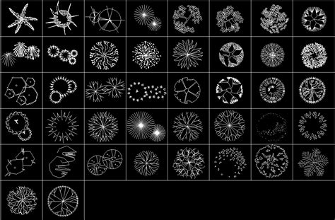 Trees DWG Block For AutoCAD Designs CAD