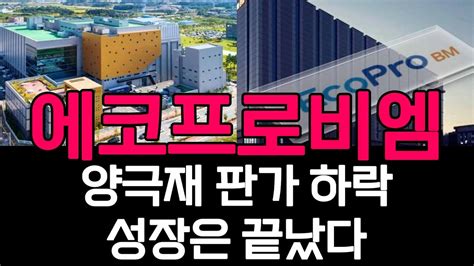에코프로비엠 다음주 주가 흐름과 대응 방법 공개합니다 Youtube