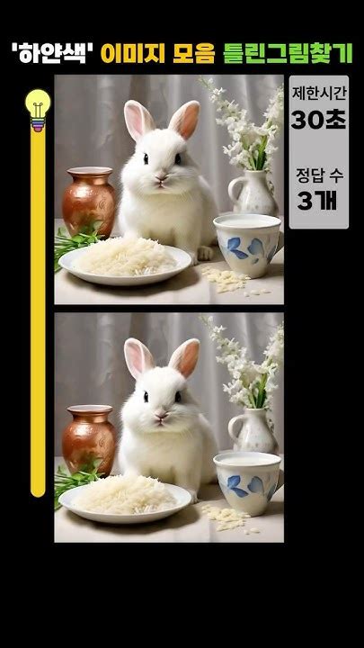 화이트 버니 귀여운 토끼 틀린그림찾기 도전 Spot The Difference Youtube