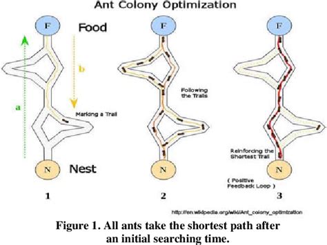 Figure 1 From A Review Of Ant Colony Based Routing Algorithm In