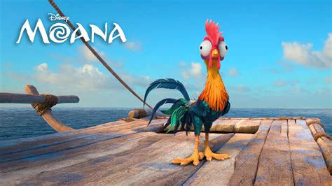 100 Moana Wallpapers
