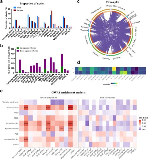 Sex And Cell Specific Gene Expression In Corticolimbic Brain Regions Associated With Psychiatric