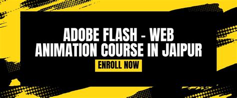 ADOBE FLASH WEB ANIMATION COURSE IN JAIPUR Thirdeye Computer Classes