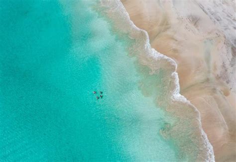 3일 캥거루섬 어드벤처 투어 애들레이드 Kkday