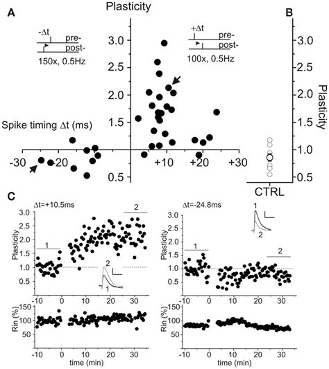 Spike Timing Dependent Plasticity Stdp In Acsf Prepared Rat Download Scientific Diagram