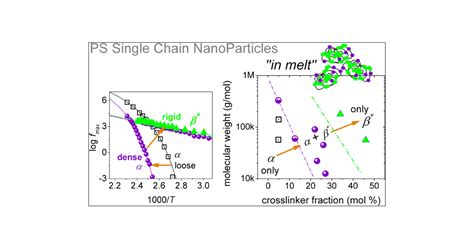 Molecular Dynamics In Polystyrene Single Chain Nanoparticles