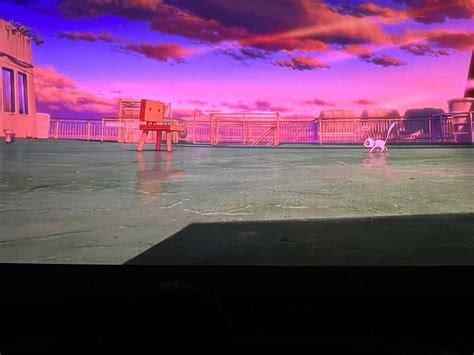 Zy知识库 · Zy 摄影