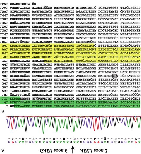 Results Of Sanger Sequencing A Partial Sequence Chromatogram Of The Download Scientific