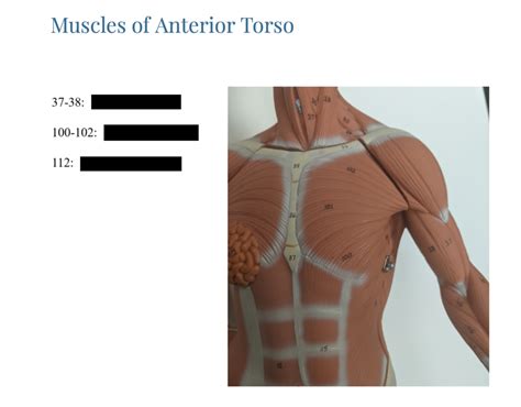 Unit 3 Diagram Quizlet