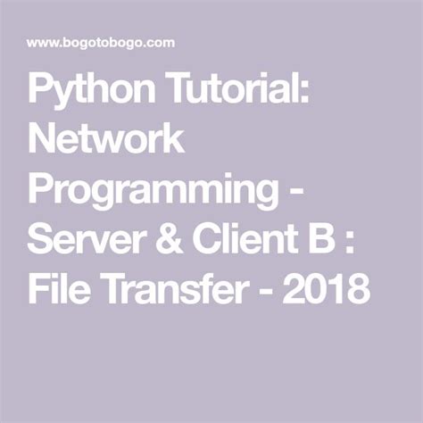 Learn Network Programming With Python