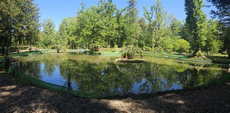 ზუგდი ზუგდიდის ბოტანიკური ბაღი Zugdidi Botanical Garden