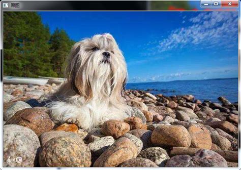Opencv：图像上编辑文字opencv图片文字替换 Csdn博客