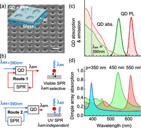 Sem Image And Schematic Of An Al Dimple Array With A 550 Nm Period And Download Scientific