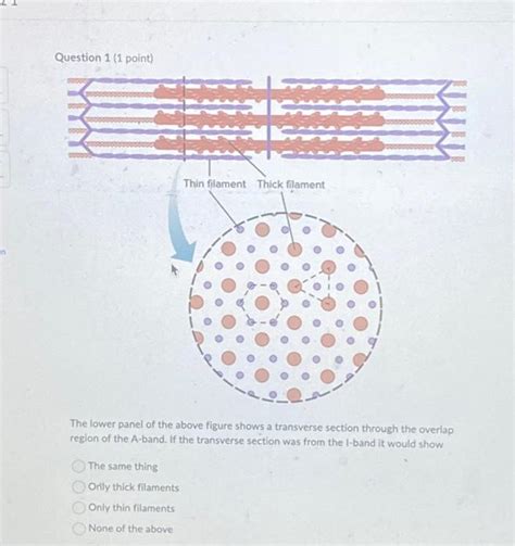 Solved The Lower Panel Of The Above Figure Shows A