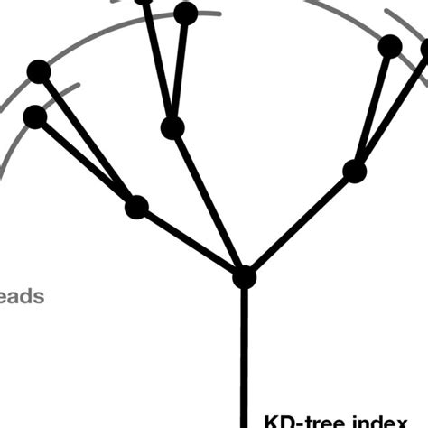 Schematic Representation Of Overlapping Reads And The Kd Tree Index