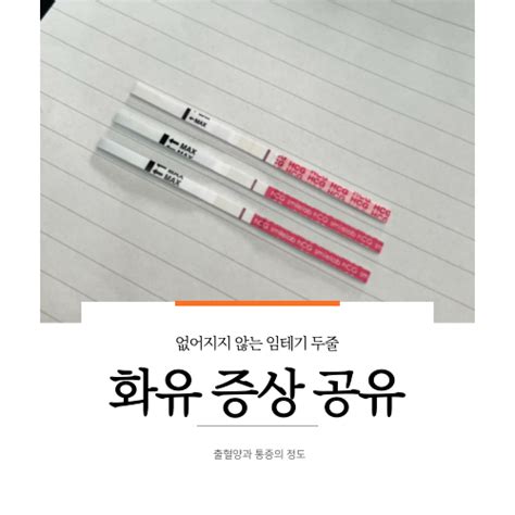 화유 후 임테기 두줄 그리고 폭풍하혈 네이버 블로그