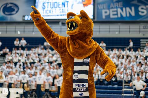 Penn State Launches New Nittany Lion Logo Penn State State College News