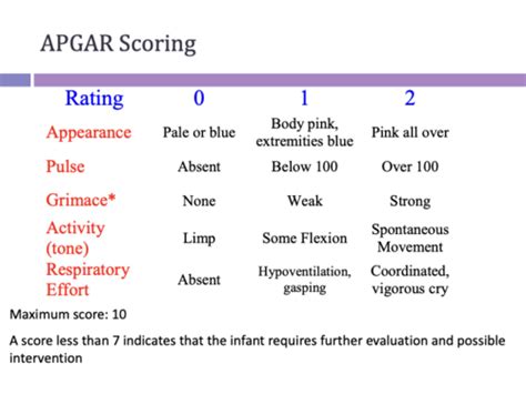 Newborn Pe Flashcards Quizlet
