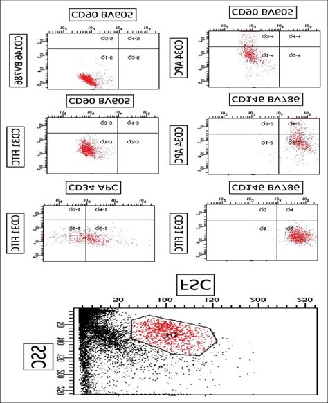 Flow Data Showing Gated Population Ssc Vs Fsc Cd31 Vs Cd34 Cd31 Vs Download Scientific