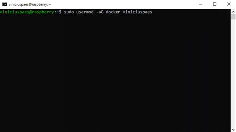 Tutorial Como Instalar Docker No Raspberry Pi Vinicius Paes