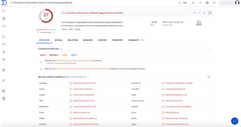 Malicious Package Distributed Through The Pypi Registry
