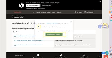 Oracle11g安装教程和plsqloracle11g和plsql安装教程 Csdn博客