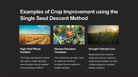 Maximizing Crop Yield With The Single Seed Descent Method 1pptx