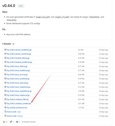 windows安装frpc超详细图文教程 彬彬笔记