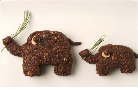 122 Beğenme 3 Yorum Instagramda N2 Life Andipek Kuscu Ipekkuscu Bakar Misiniz Anne Ile