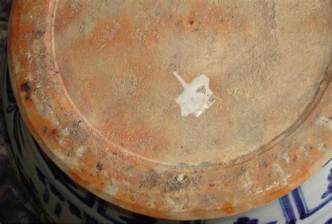 火石红 现代火石红 现代瓷器火石红 第2页 大山谷图库