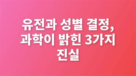 유전과 성별 결정 과학이 밝힌 3가지 진실 마이데이터랩
