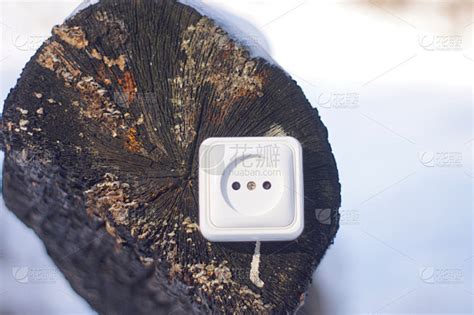 生态理念象征可再生能源生物能源