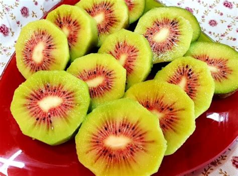 택배의여왕 착한오름농장 제주 레드키위 2kg 2 1차