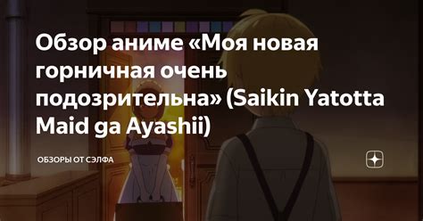 Обзор аниме «Моя новая горничная очень подозрительна Saikin Yatotta Maid Ga Ayashii Обзоры