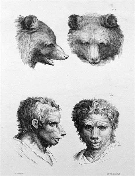 Relation Human Physiognomy And That Free Photo Illustration Rawpixel