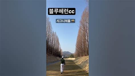 블루헤런cc 시그니쳐홀 숏츠 골프숏츠 메타세콰이어 Youtube