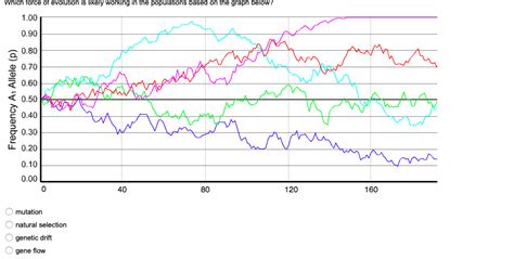 Mutation Natural Selection Genetic Drift Gene Flow Chegg Com