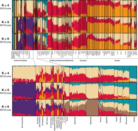 Model Based Clustering Of Ancient And Modern Populations Admixture Run