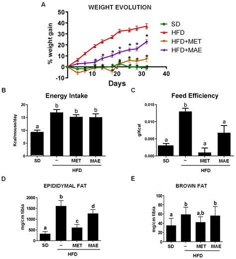 The Prebiotic Effects Of An Extract With Antioxidant Properties From Morus Alba L Contribute To