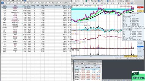 Ai 스윙 스윙매매 스윙투자 단타 수급단타 주식추천 종목추천 종목선정 종목발굴 외국인 부자 종목선정종목발굴 실적주 성장주 Youtube