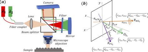The Schematic Diagram Of A Rodh And B Wavefront Interference Download Scientific Diagram
