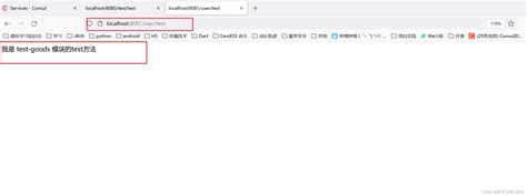 consul详细教程 springboot案例 csdn博客