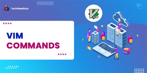Most Common Vim Commands With Examples You Should Know In