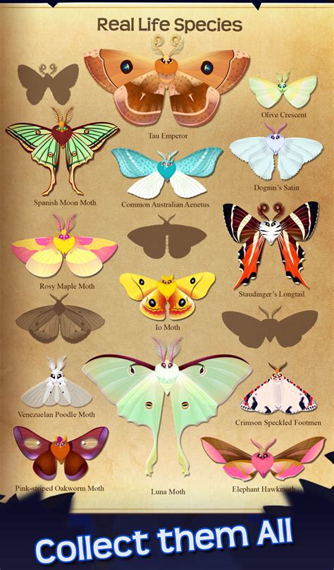 Flutter Starlight Amazon Co Uk Appstore For Android