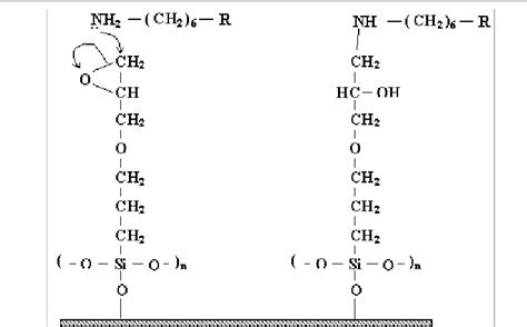 Figure 2 2 From Design And Development Of Oligonucleotide Microarrays And Their Application In