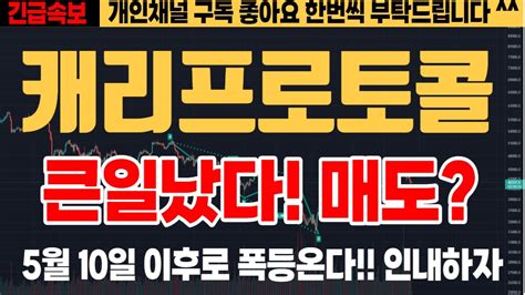 캐리프로토콜 코인전망 비트코인 이더리움 도지코인 시바이누 앞으로의전망 저스틴 선 챗gpt블록체인 저장공간 메타버스nft 코인의